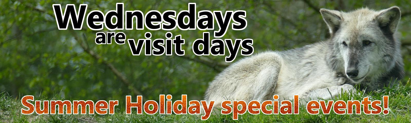 The UK Wolf Conservation Trust