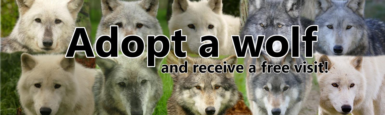 The UK Wolf Conservation Trust