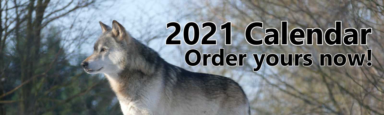 Home | The UK Wolf Conservation Trust