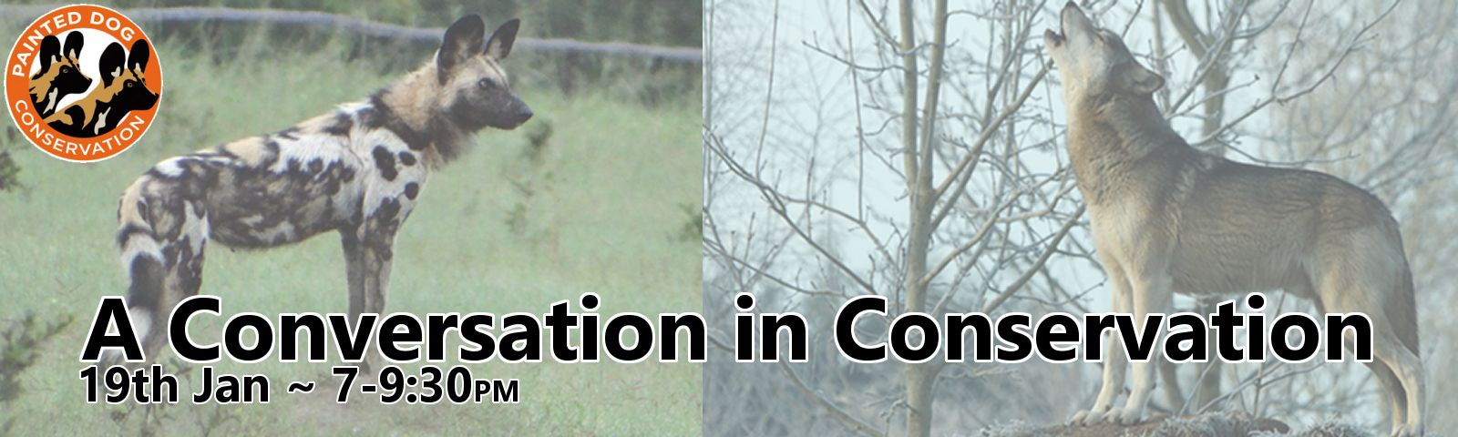 The UK Wolf Conservation Trust