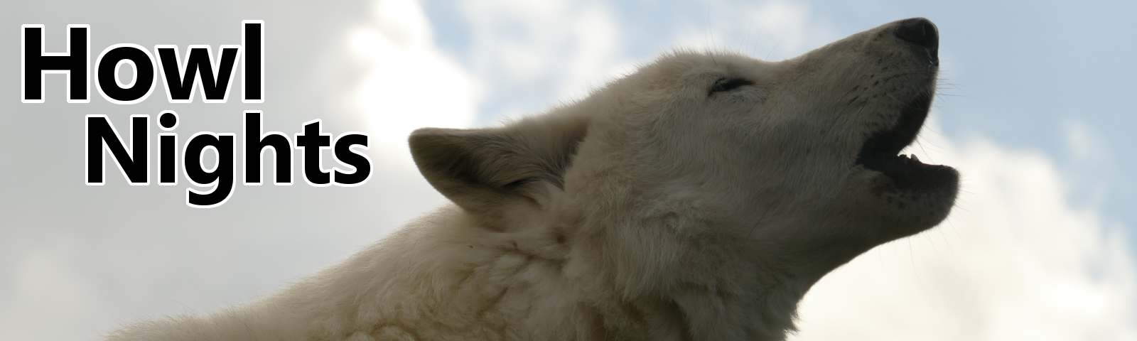 The UK Wolf Conservation Trust