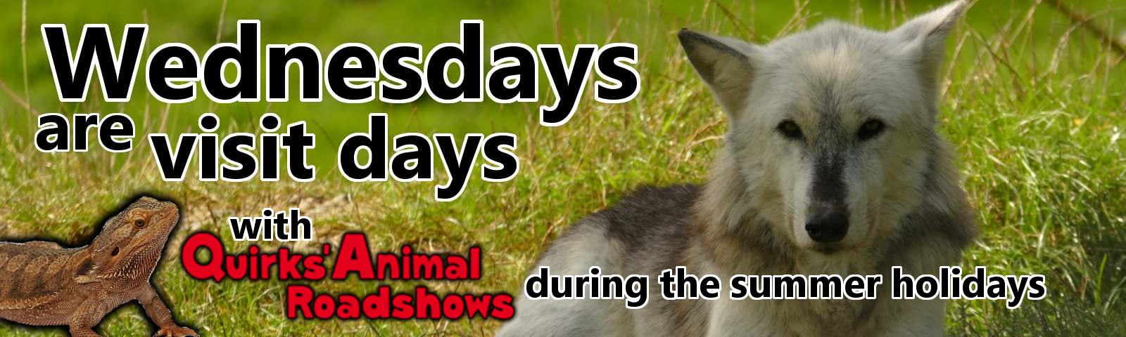 The UK Wolf Conservation Trust