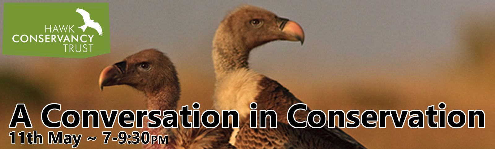 The UK Wolf Conservation Trust